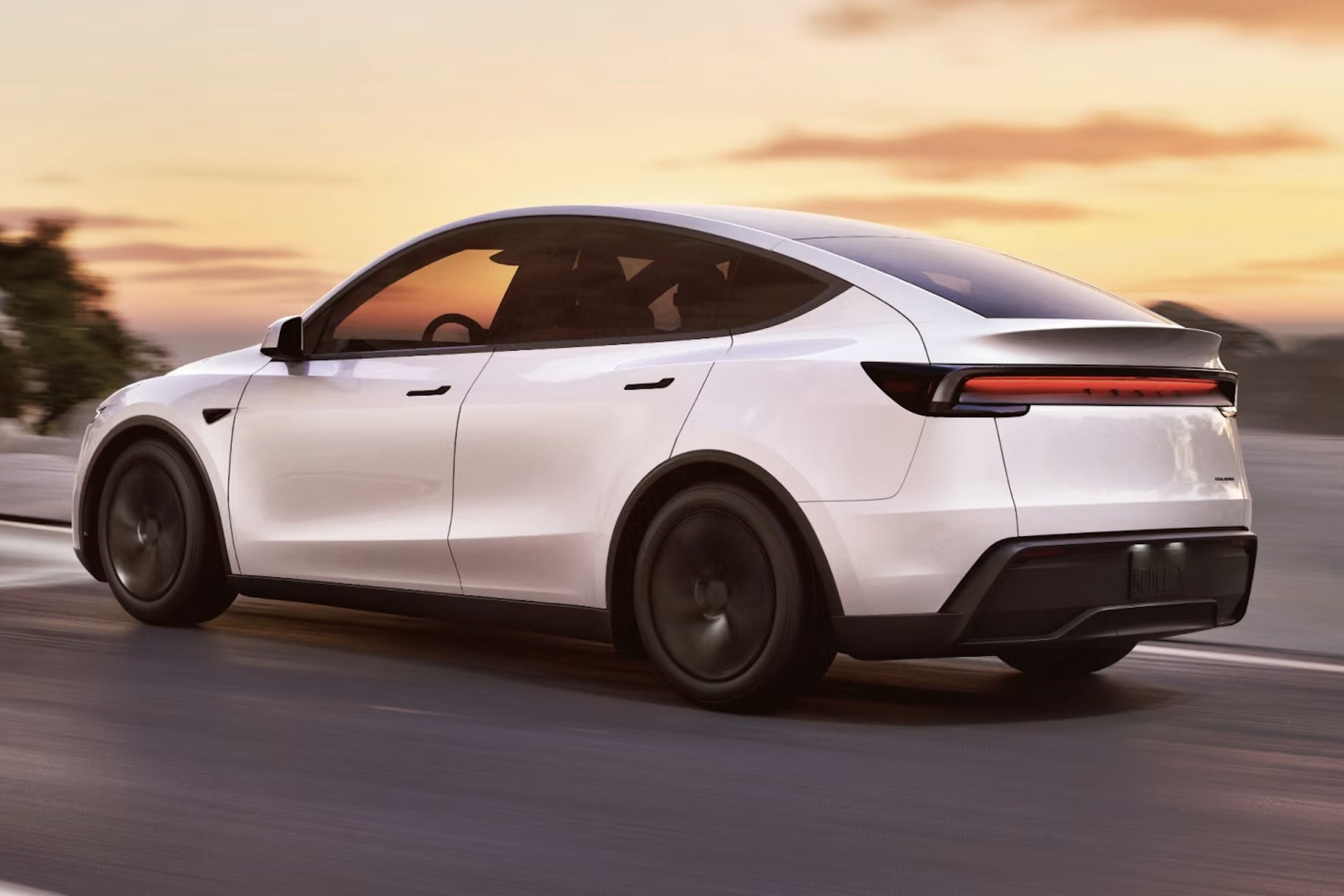 Tesla Model Y Landingpage
